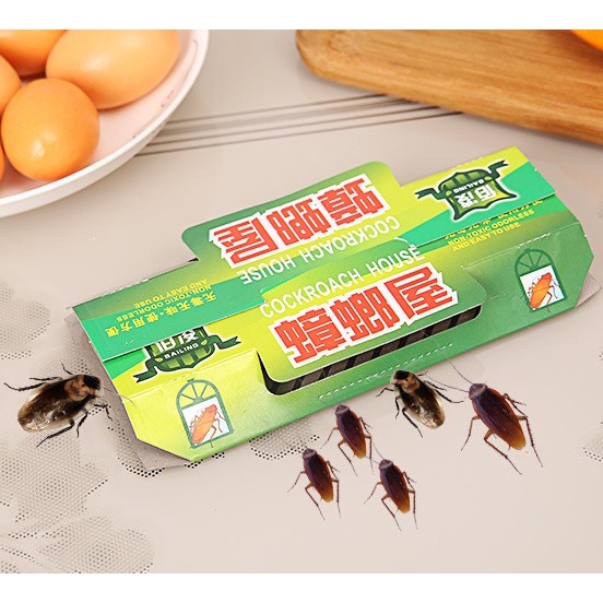 Strong Adhesion Cockroach Lizard Trap Perangkap Gam Lipas Cicak House ...