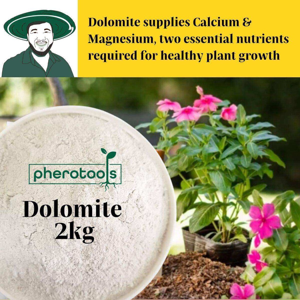 Pherotools 2KG Baja Dolomite GML/ Kapur Pertanian ( Fertilizer) (Baja ...