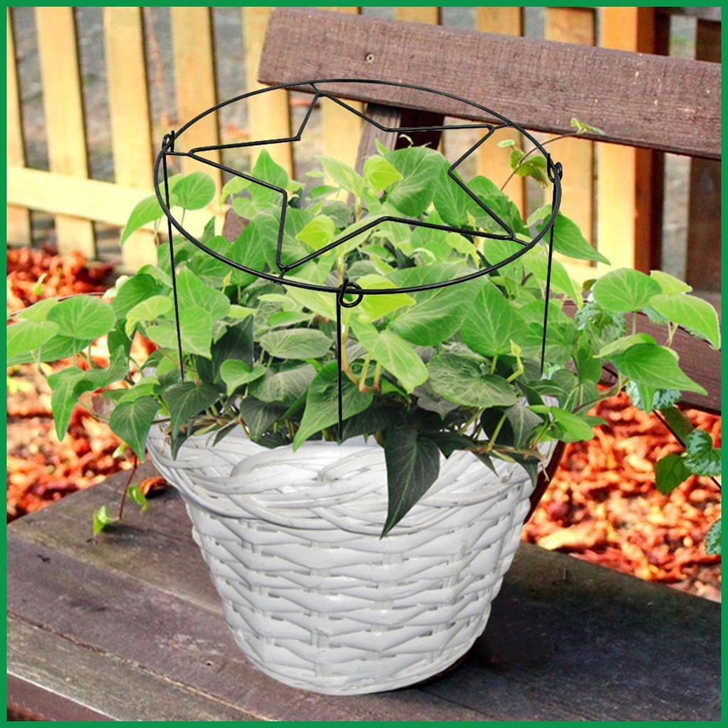 Plant Climbing Support Sturdy Metal Support Frame For Climbing Plants ...