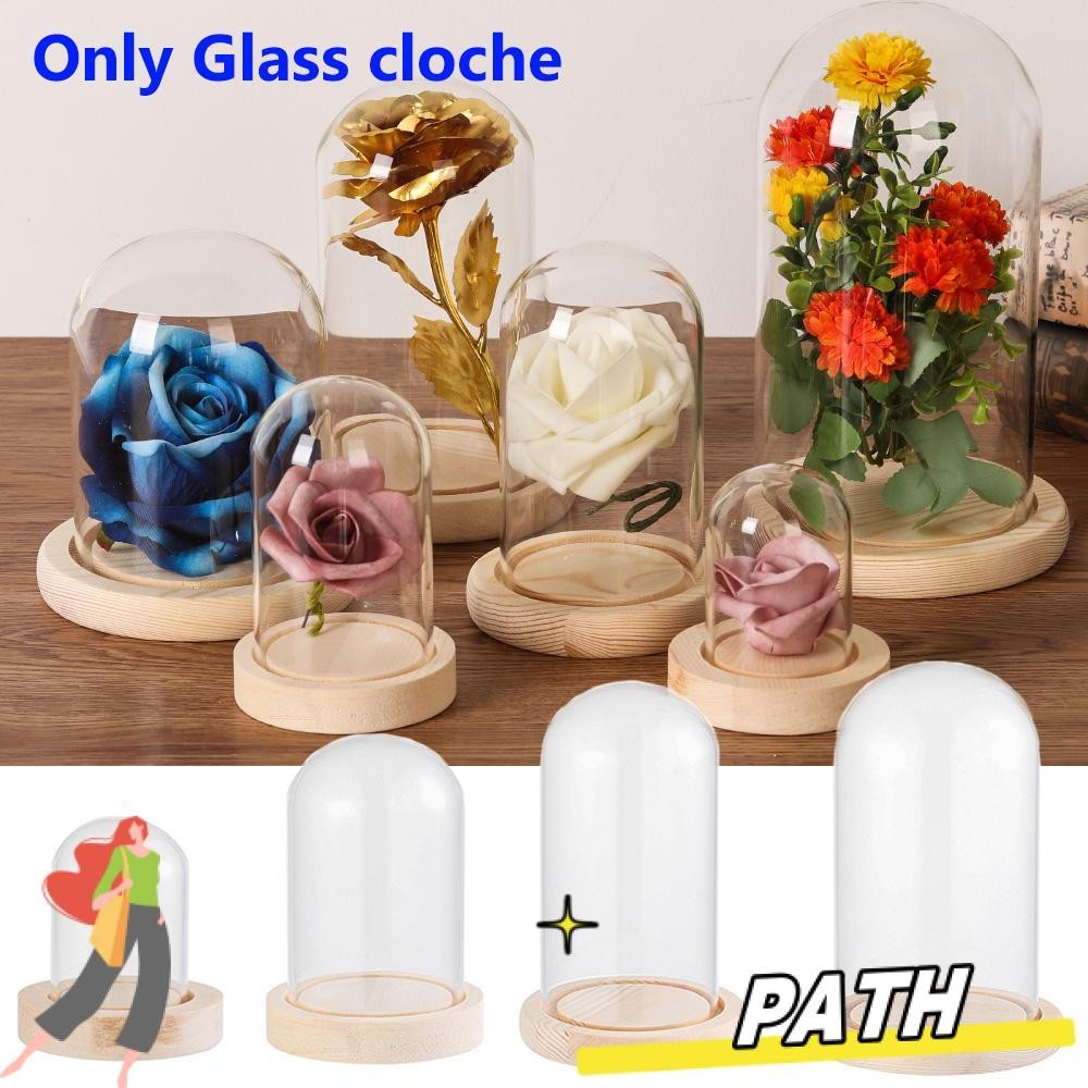 PA-HOME Dust Cover Plants Terrarium Tabletop Transparent Bottle Glass ...