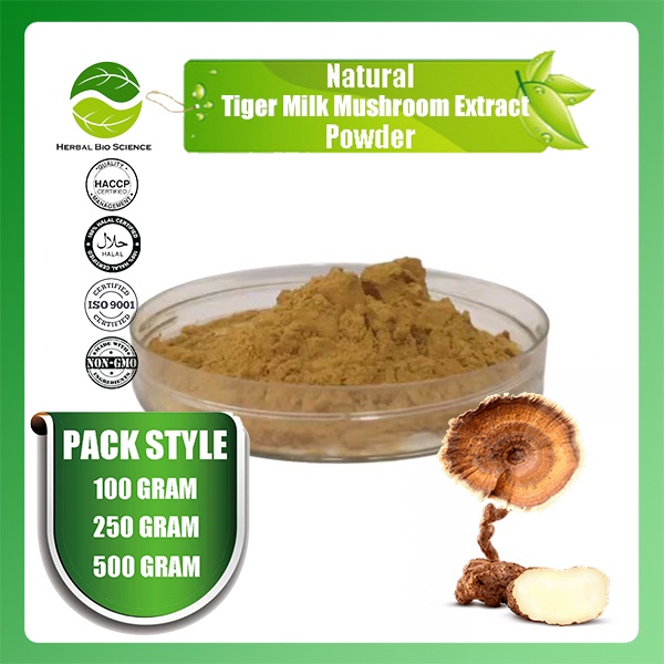 Tiger Milk Mushroom Extract Powder/Improving respiratory health/Kosher ...