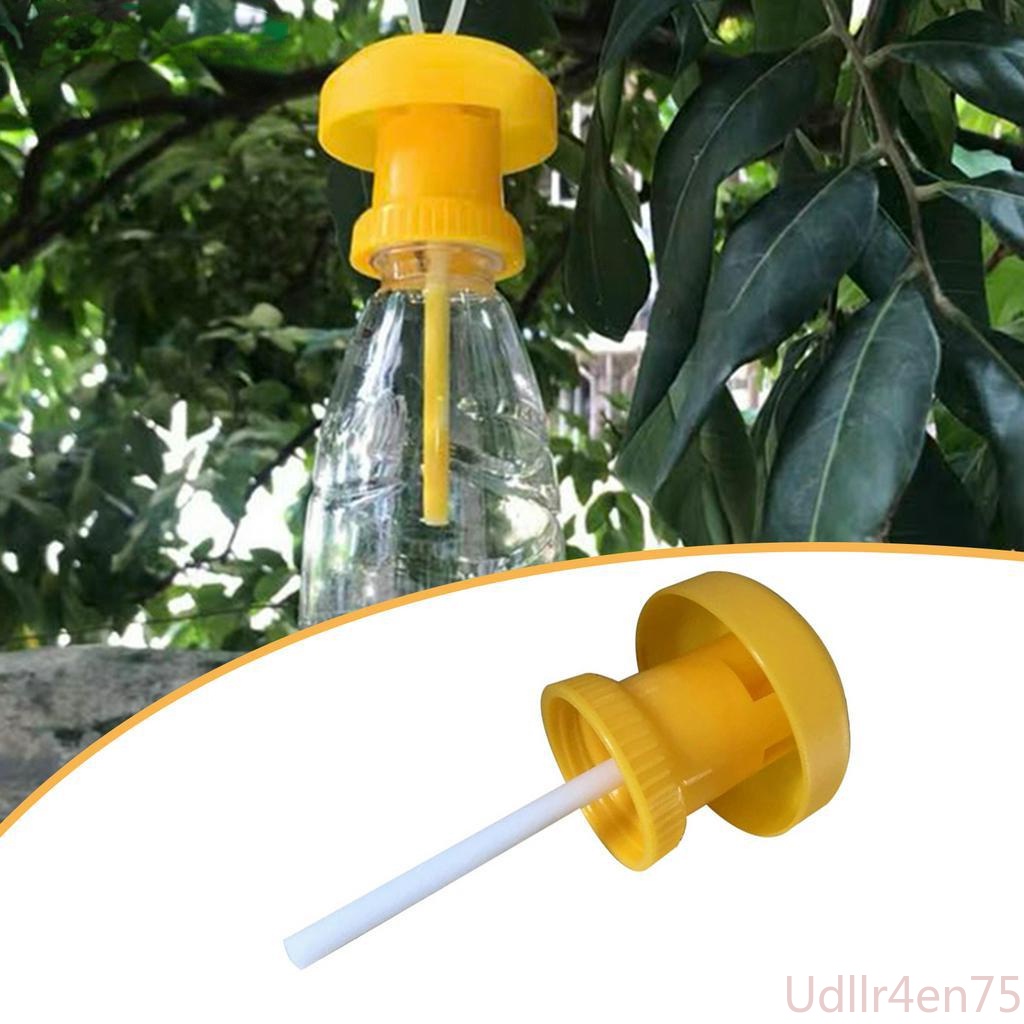 【New】Fruit Fly Trap Killer Plastic Geel Drosophila Val Fly Catcher Pest ...