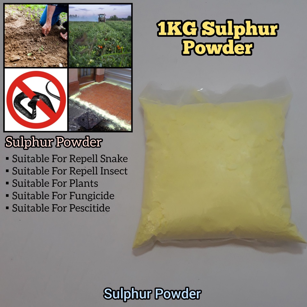 SULPHUR POWDER 1KG FOR SNAKE, INSECT, FUNGICIDE AND PESTICIDE FOR ...
