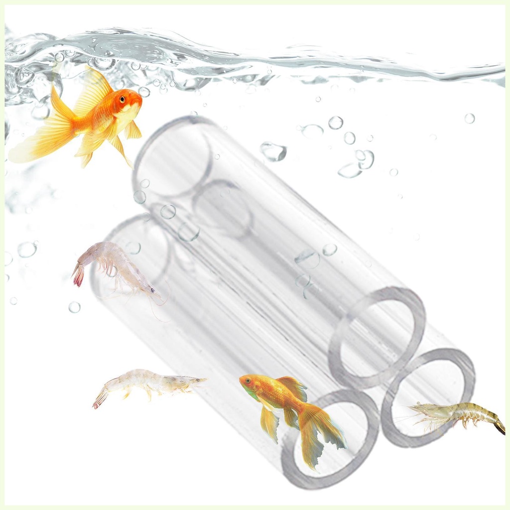 Shrimp Breeding Tube Acrylic Transparent Fish Shrimp Feeder Breeding ...