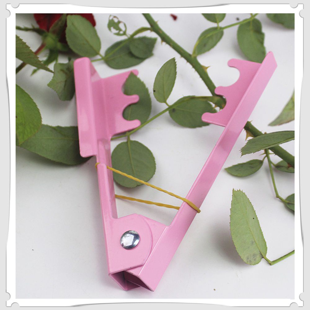 Circular Handle Rose Forceps Gardening Tools Curved Outer Contour ...