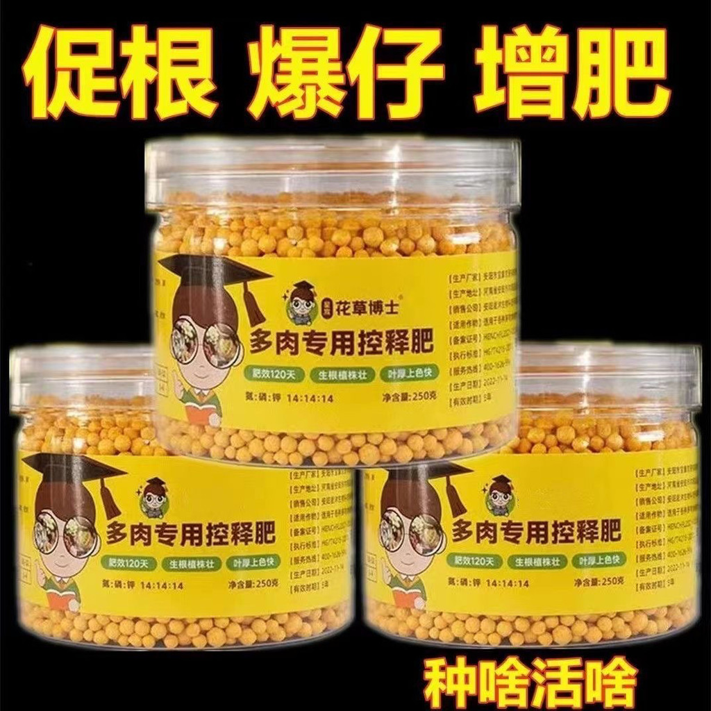 Succulent Fertilizer Dedicated Fertilizer Control Slow-Release Burst ...