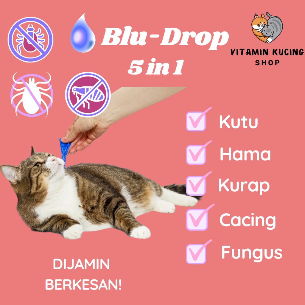 VitKucing Ubat KUTU / Cacing Kucing / Merawat Masalah Fungus / Kutu ...