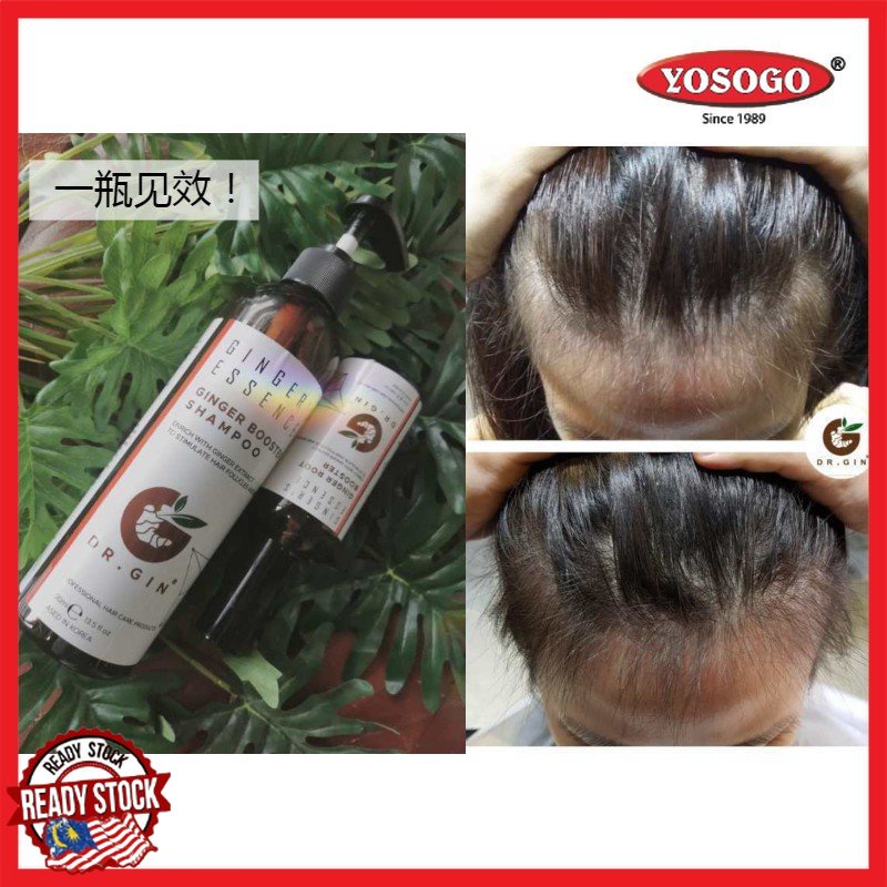 [Super SaverS] Dr.Gin Anti Hair Drop Ginger Root Booster Shampoo 400ml ...