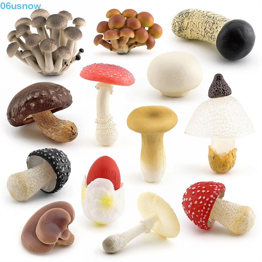 USNOW Simulation Mushroom, Landscape Miniatures Matsutake Oyste Fungus ...