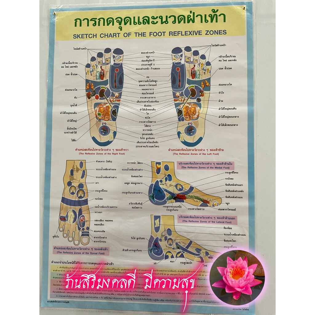 Educational Illustration-foot Reflexology And Massage Poster (Blue ...