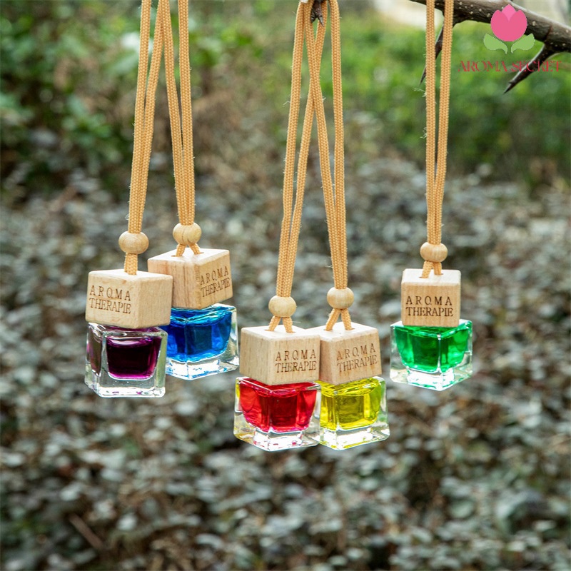 Home Fragrance Car Air Fresherner Aroma Diffuser Hang Rope Car Perfume ...