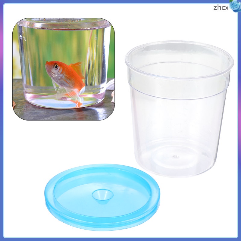 Pet Acrylic Nest Turtle Tank Tarantula Terrarium Reptile Breeding ...