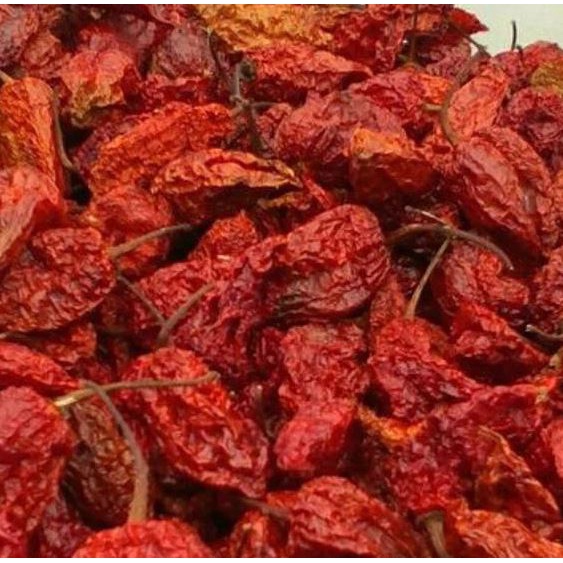 Dried Ghost Pepper 250g Chili Whole ghost Dry Chili 魔鬼辣椒干 | Shopee Malaysia