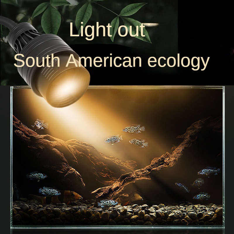 Fish tank spotlight zoom light South American fish tank aquarium ...