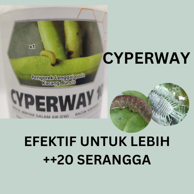 Racun Cypermethrin 10% kutu daun trip kepinding nyamuk pelombong jambu ...