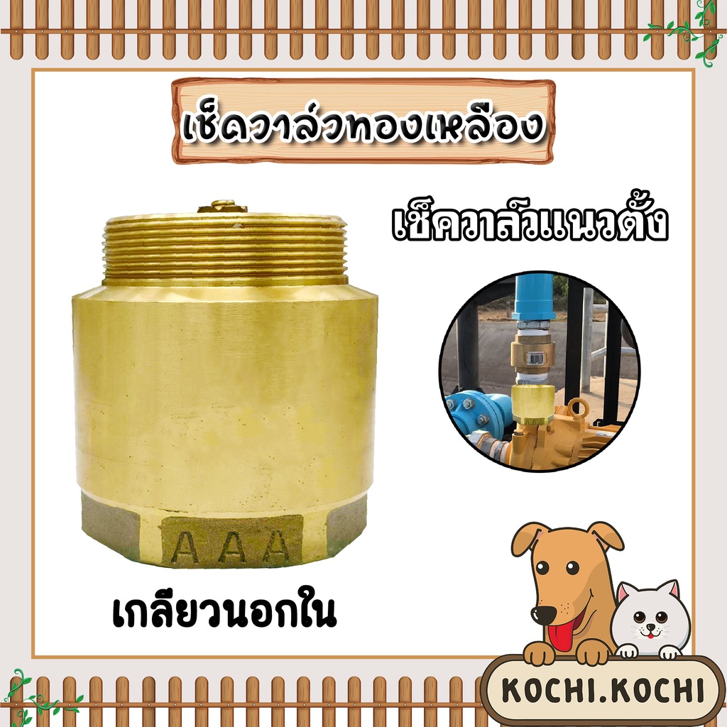 Total Brass Check Valve There Are Vertical And Horizontally Multi ...