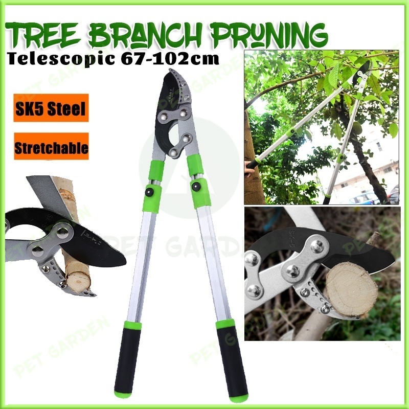 Tree Cutter Telescopic Branch Pruning Cutter Gunting Pokok Garden ...