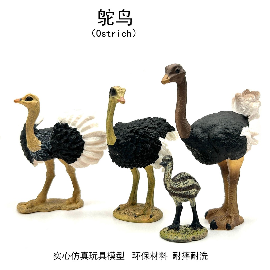 Pengilang Borong Wild Animal Simulation Ostrich Toy Model African ...