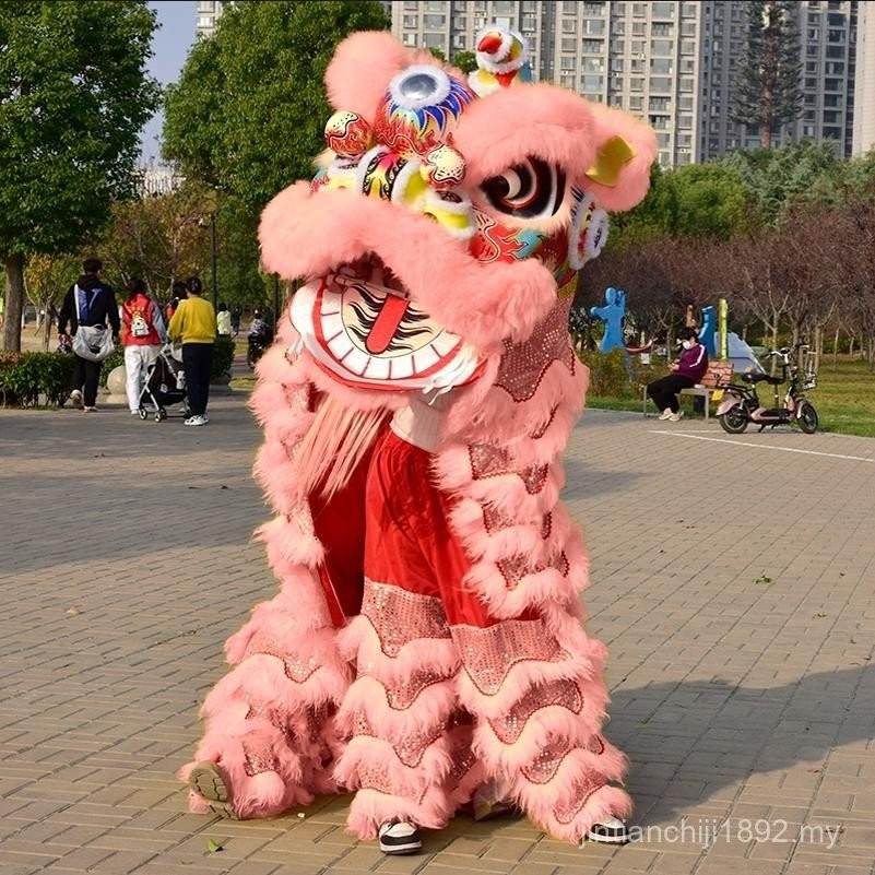 Lion Dance Props Full Set South Lion Dance Lion Dance Double Foam Lion ...