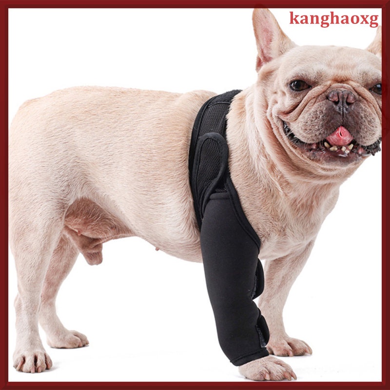 Comfy Brace Dog Leg Sling Large Dogs Hind Support Paw Balm Lick Safe ...