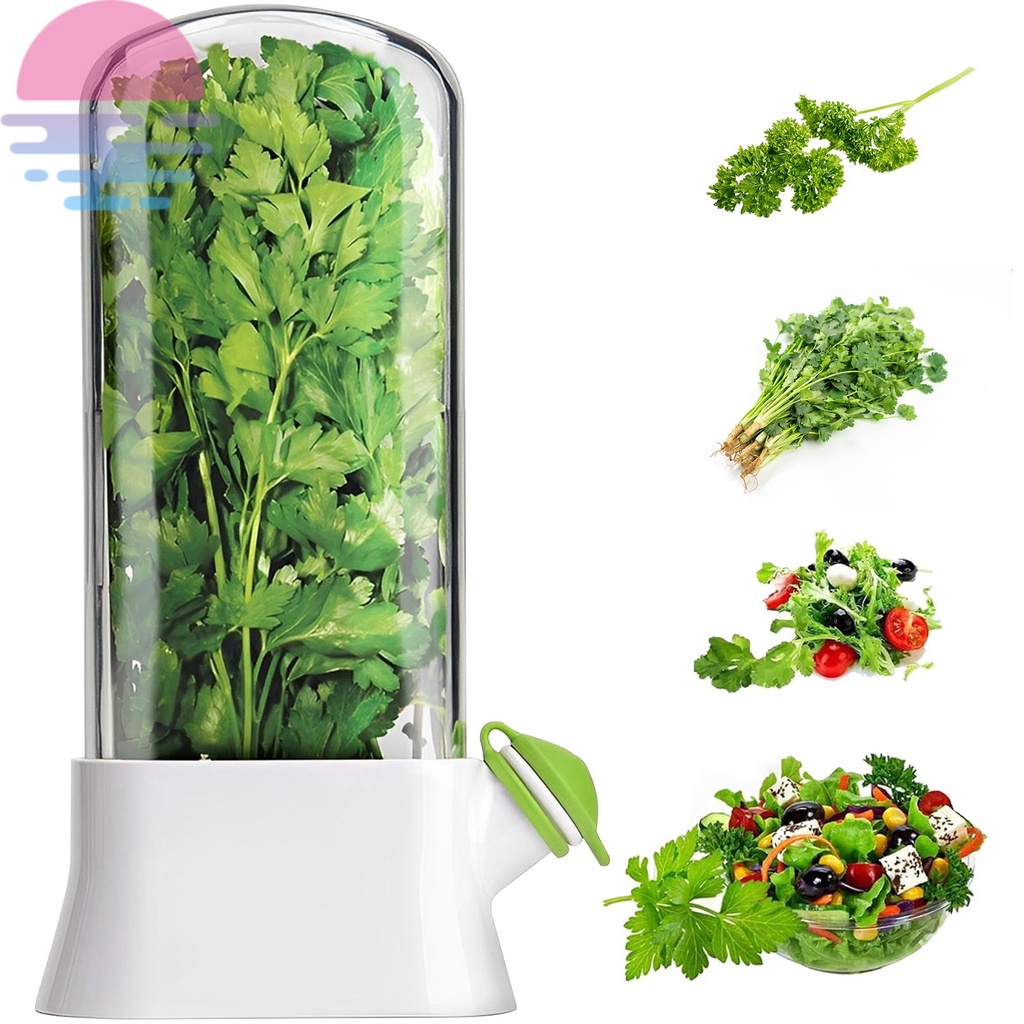 Herb Saver for Refrigerator Clear Fresh Herb Keeper Tall Shape Herb ...