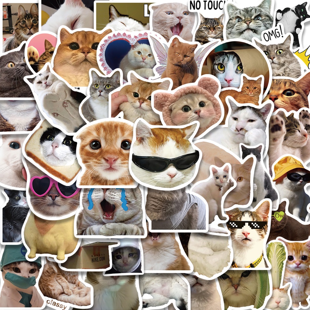50pcs Funny Kitty Cats Memes Waterproof Pvc Stickers Shopee Malaysia