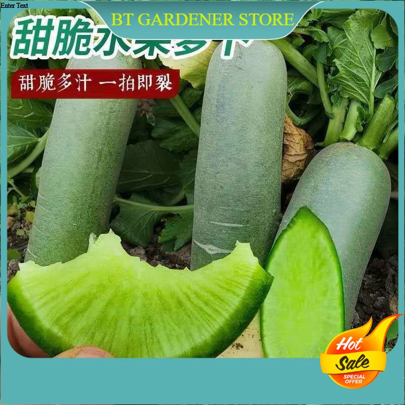 20 Pcs Green Lobak Seed 水果萝卜种子 Ready Stock Sarawak | Shopee Malaysia