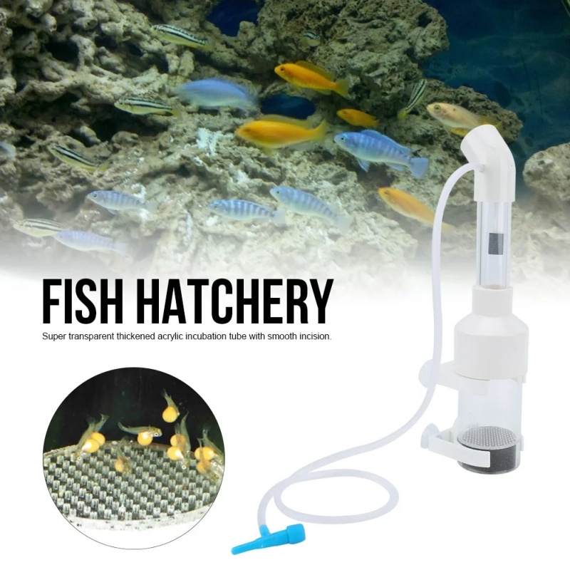 Fish Tank Aquarium Incubator Tumbler Hatchery Tool For Aquarium ...