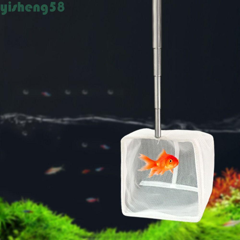 YISHENG Goldfish Net, Stainless Steel Telescopic Fish Tank Fish Nets ...