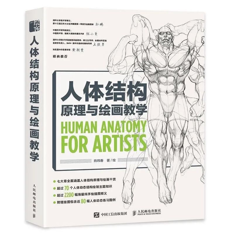 Full Color Human Body Structure Principle and Painting Teaching+Game ...