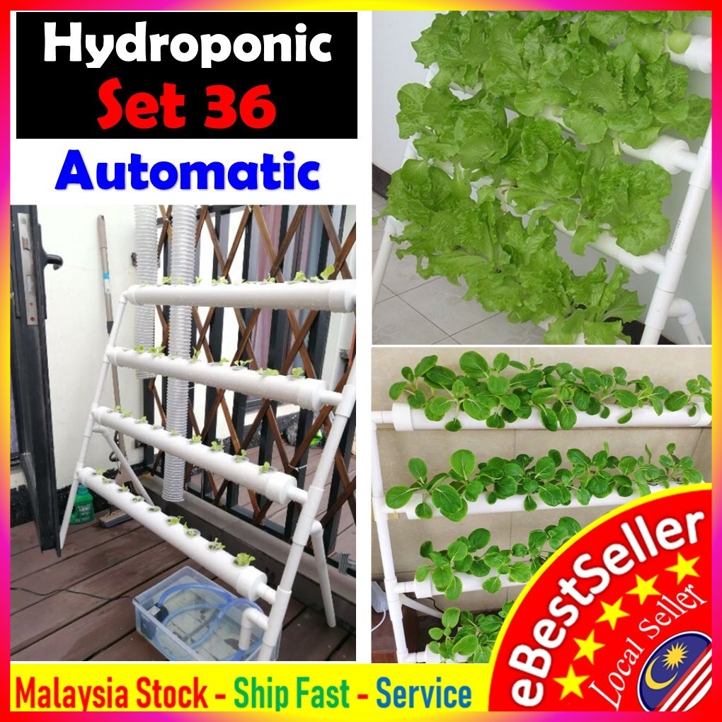 Auto Hydroponic Hydroponics Set Hidroponik 36 Lubang + pam air 36 Holes ...
