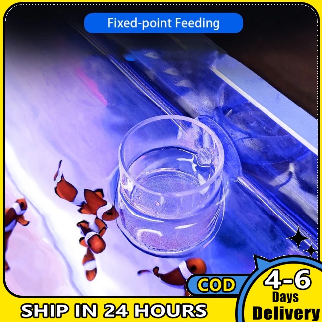 In Stock Transparent Acrylic Fish Food Feeding Ring Anti-drift Feeding ...