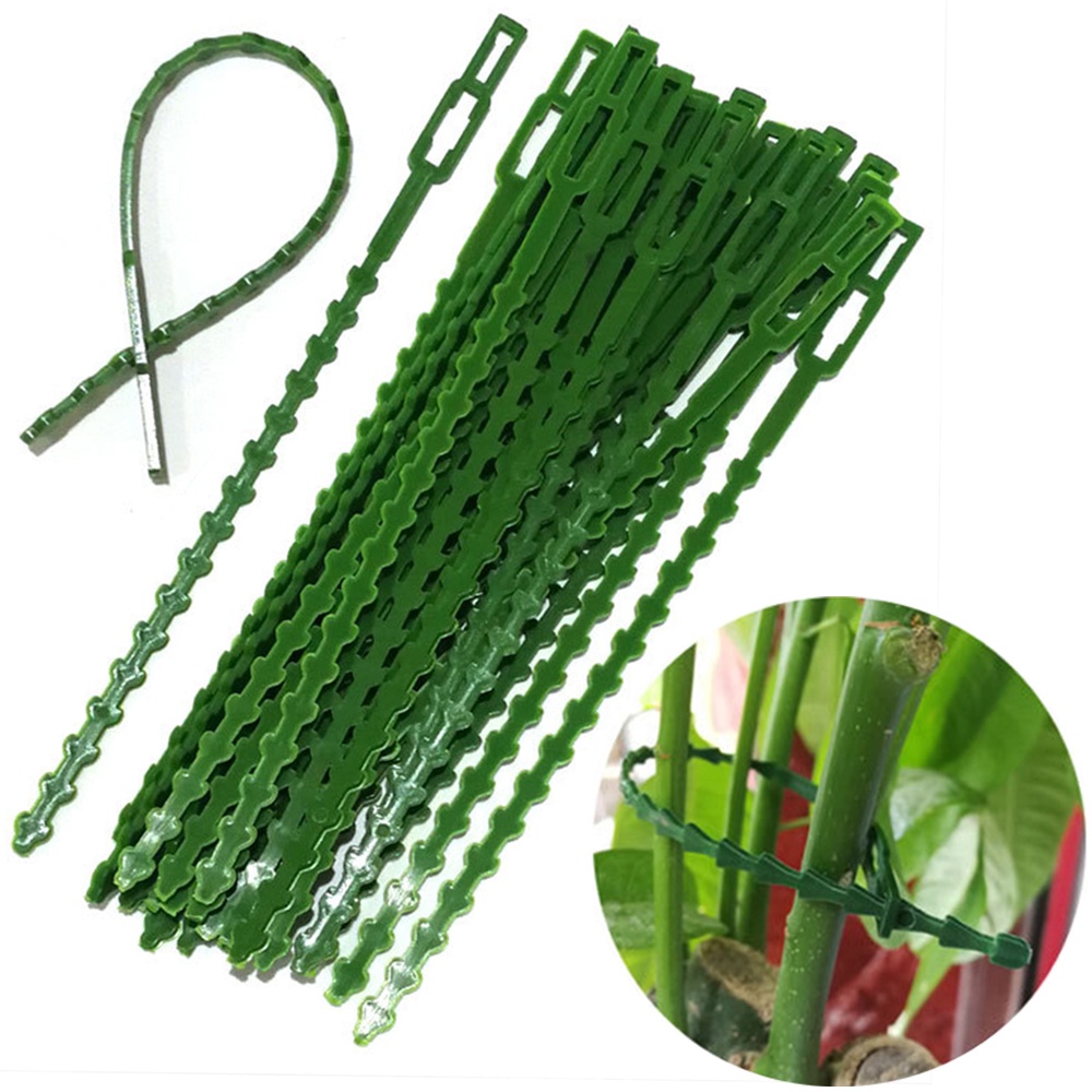 Reusable Garden Self-locking Plastic Tie Adjustable Plastic Plant Cable ...