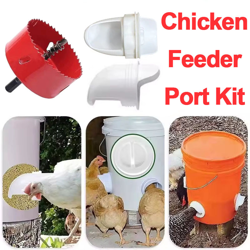 DIY Chicken Feeder Port Kit Rain Proof Automatic Poultry Feeder Gravity ...