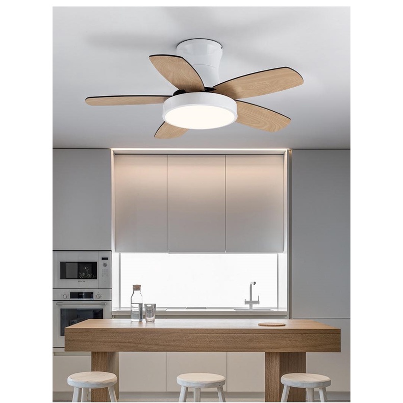 Moder Nordic Ceiling Fan with Remote Control Ceiling Fan with Light ...