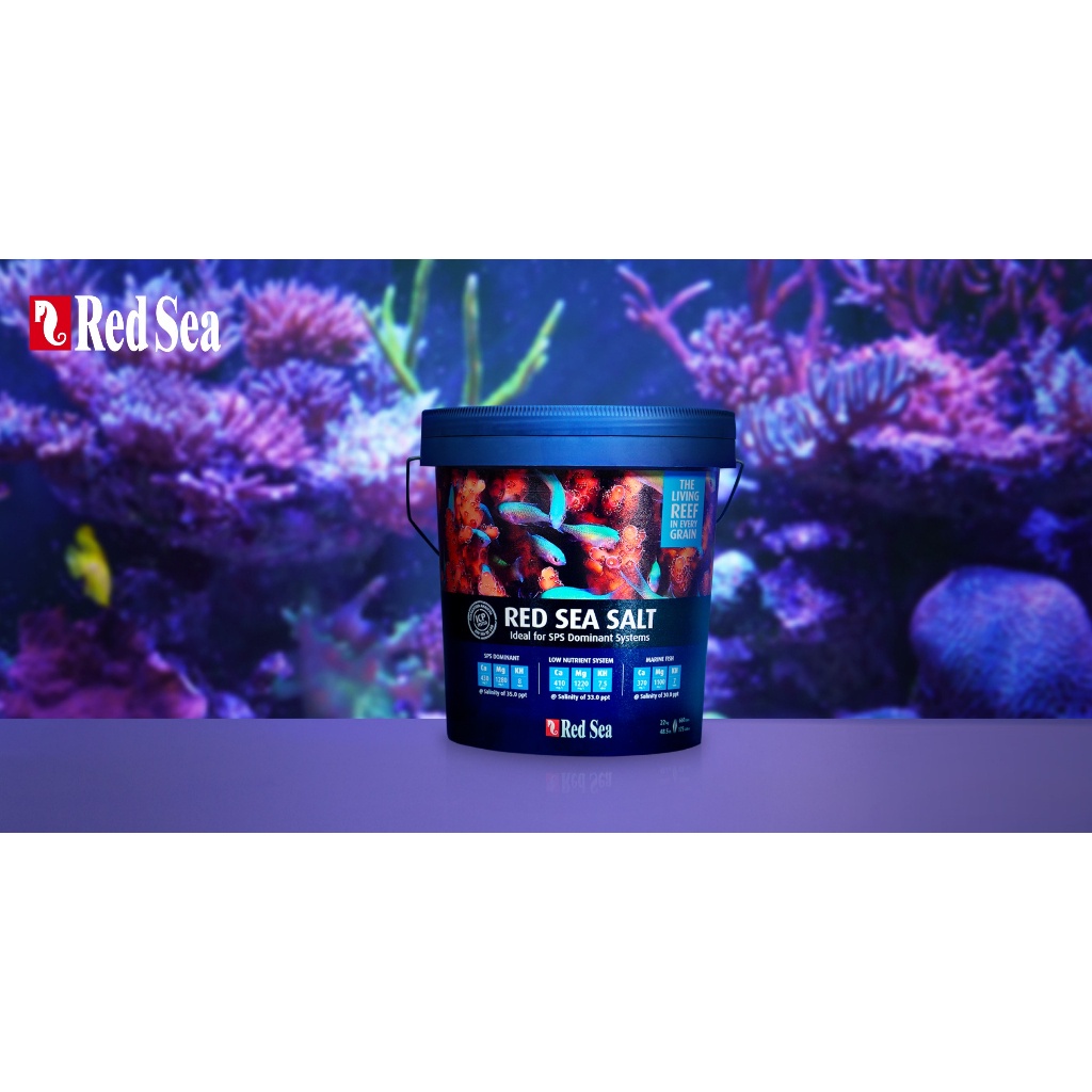 red sea sea salt -7kg | Shopee Malaysia