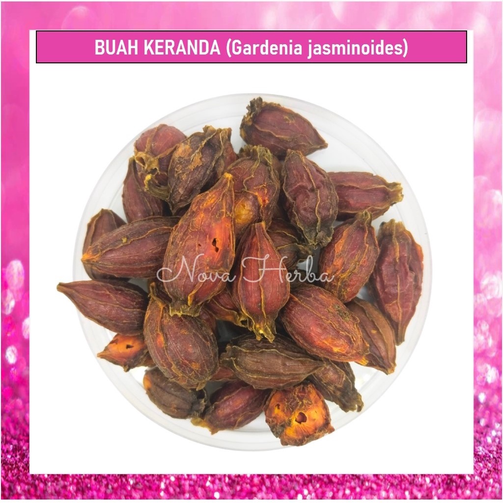 Buah Keranda (50g) | Gardenia jasminoides | Herba Mandian Bayi Demam ...
