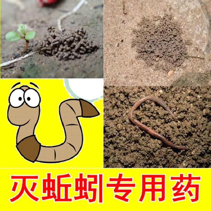 Earthworm insecticides kill earthworm eggs, flower pots, and flowers ...