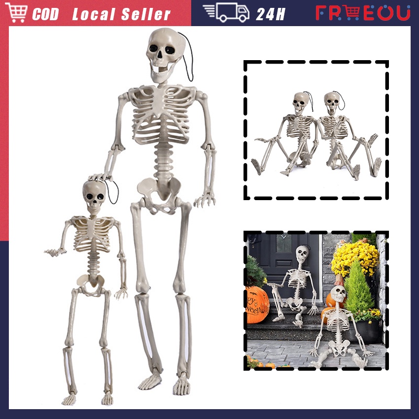 40/90CM Active Human Skeleton Model Anatomy Skeleton Skeleton Model For ...
