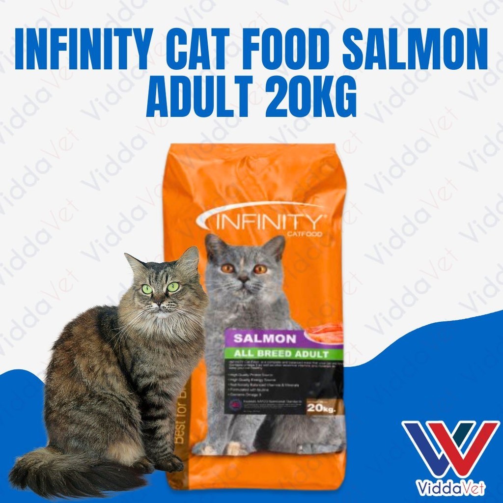 INFINITY Cat Food Adult 20kg Salmon Flavor, Great for Picky Eaters ...