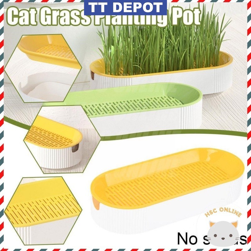 Cat Grass Planting Pot Without Soil Or Crystal Ball Easy For Newbie ...