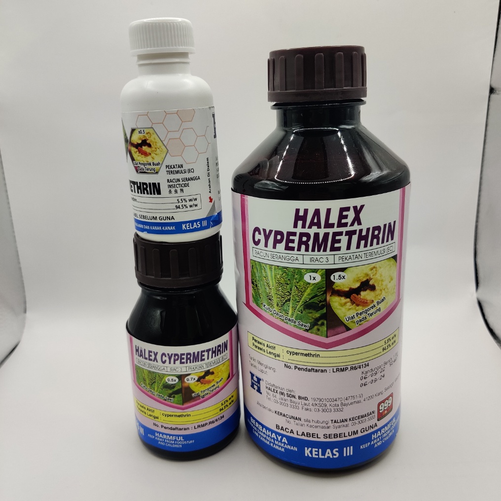 Racun Serangga ulat pengorek buah rama - rama atlas kumbang tanduk ulat ...