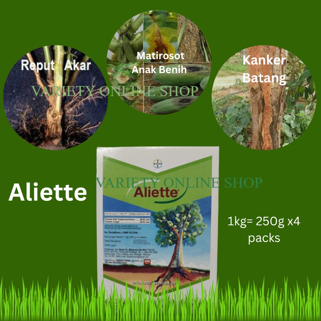 Aliette（1kg）Fungicide/ Kulat/菌药 [Linotyl 80 WG ] | Shopee Malaysia