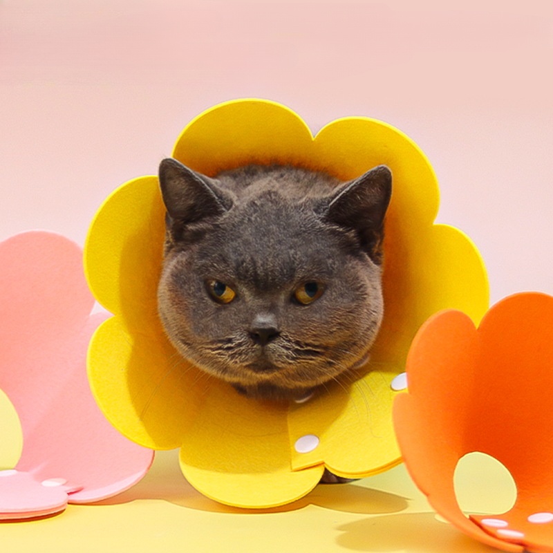 Cat Recovery Collar - Cute Flower Neck Cat Cones After Surgery ...
