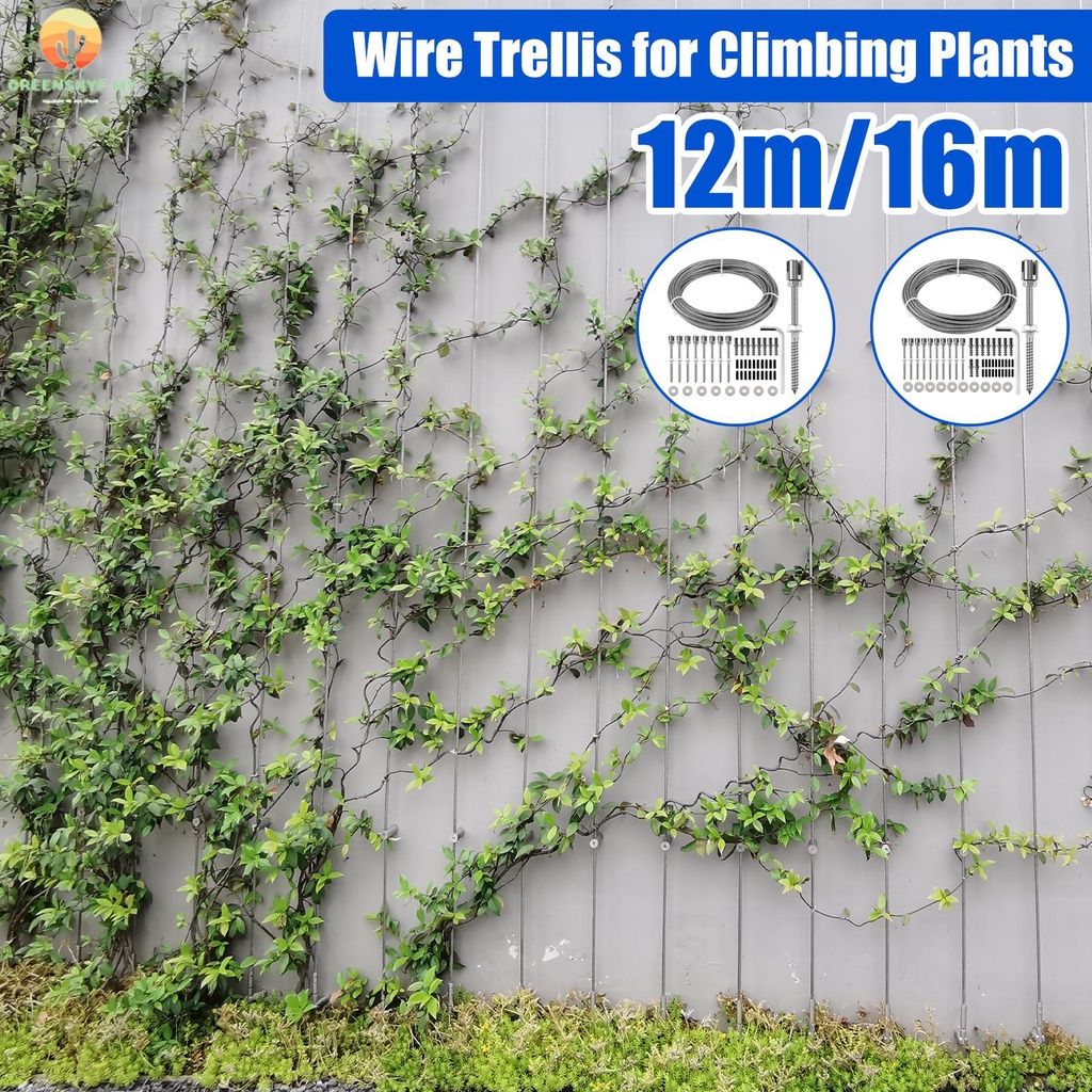 Wire Trellis Kit Wall Trellis Set Rustproof Climbing Plant Trellis ...