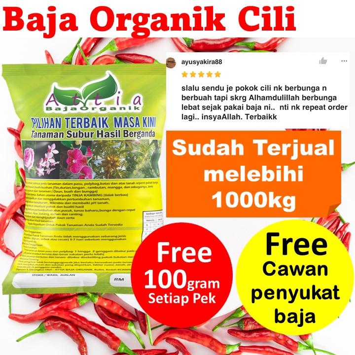 Attia Baja Pupuk Organik Cili Padi Kampung Lada Solok Cabai Lada Burung ...