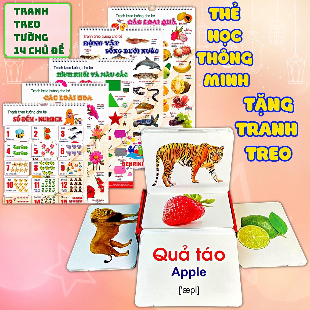 Smart Learning Card Box with Many Themes Comes with Wall Paintings of ...