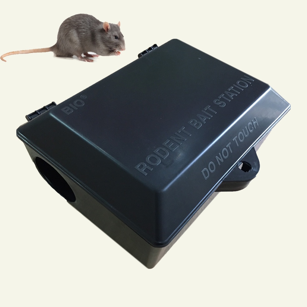 Mouse Trap Box - Using Adhesive Sheet - Good Plastic | Shopee Malaysia