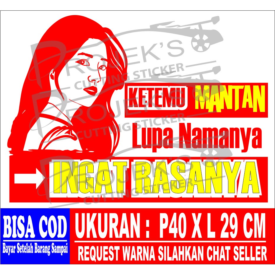 Cutting Sticker Car Stickers Variations on Side Body Mirrors, Cool ...