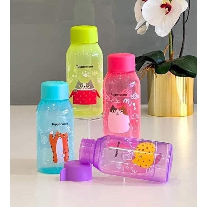 Tupperware Kitty Quencher Eco Bottle 350ml/ Eco Bottle 350ml/ Drinking Bottle/ Mini Eco Bottle ...